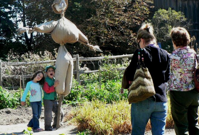 Black Creek Pioneer Village - Step into 1860s Ontario